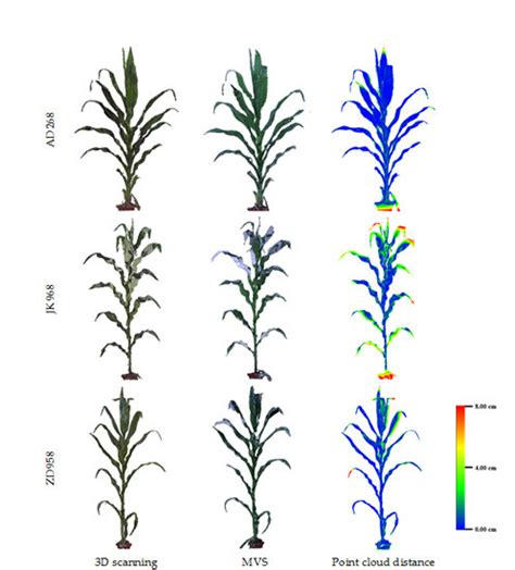 Maize Plants Point Clouds Comparison Derived Using 3d Scanning And Mvs Download Scientific