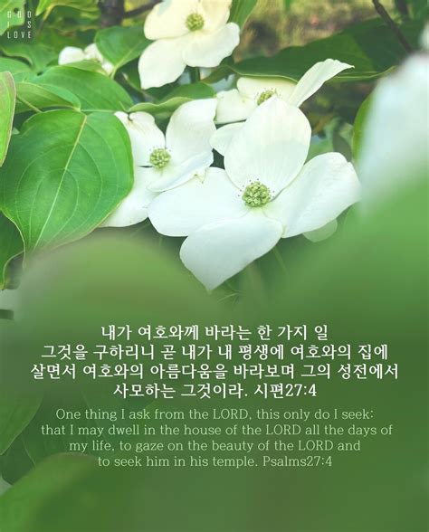 Seungro Lee 시편274 아름다움을 바라보며 내가 여호와께 바라는 한 가지 일 그것을 구하리니 곧 내가 내 평생에 여호와의 집에 살면서 여호와의 아름다움을