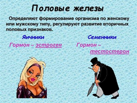 Эндокринные железы Online Presentation
