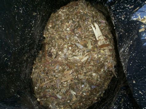 Como Ser Mas Eficiente Al Fabricar Ensilaje