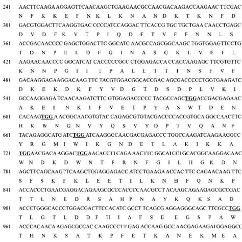 Eukaryotic Predisposed Nucleotide Sequence Of P37 Gene The Kozak Download Scientific Diagram