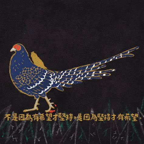 「不是因為有希望才堅持，是因為堅持才有希望。」 「我們台灣走到這個地步，是我們很多好幾代我們的先人付出生命、血汗所換來的東西，他們的努力，轉化