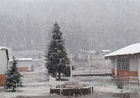 Chihuahua Se Pinta De Blanco Por Chubascos De Nieve