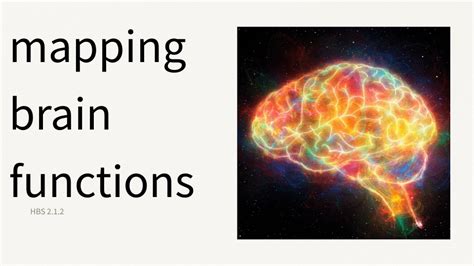 Hbs 212 Mapping Brain Function Genially