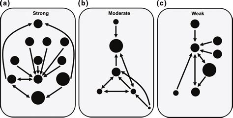 Different Polycentric Structures In Three Climate Affected Regions