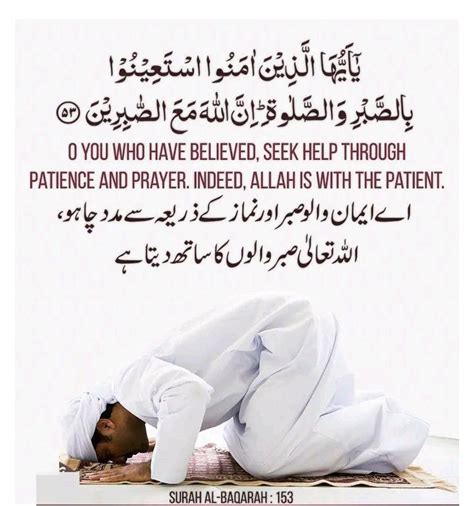 Rana Muhammad Tahir Posted On Linkedin