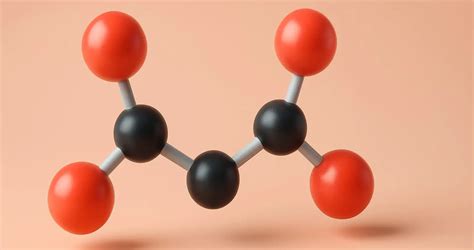 Succinic Acid Structure And Uses Free Notes Firsthope