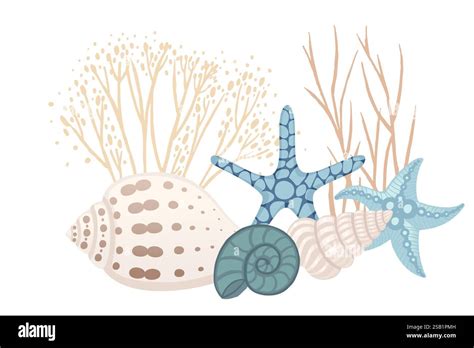 A Beautifully Illustrated Depiction Of Colorful Ocean Shells And