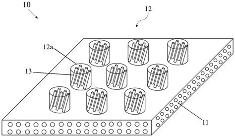 Biomimetic Composite Structure With Enhanced Adhesion And Friction Eureka Patsnap