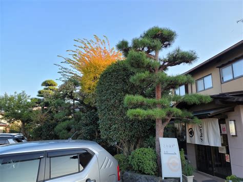 11月は定休日はありません 和カフェ ことほぎ