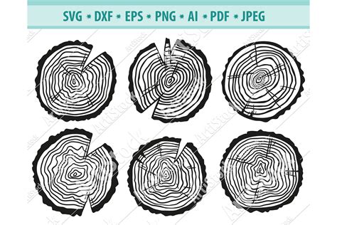 Tree Slice Slab Trunk Stump Svg Lumber Svg Dxf Png Eps 571892