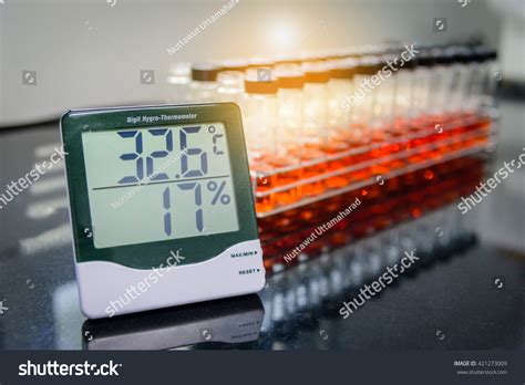 Digital Lab Thermometer