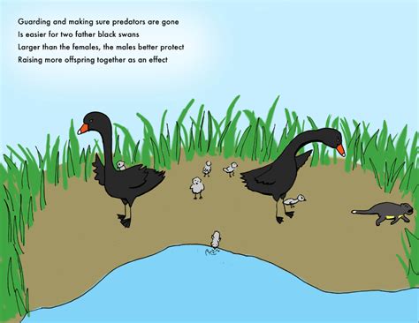 Evolution Of Sex Student Work Christopher X J Jensen
