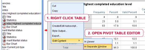 Spss Output Viewer Window Quick Overview Of User Interface Hkt
