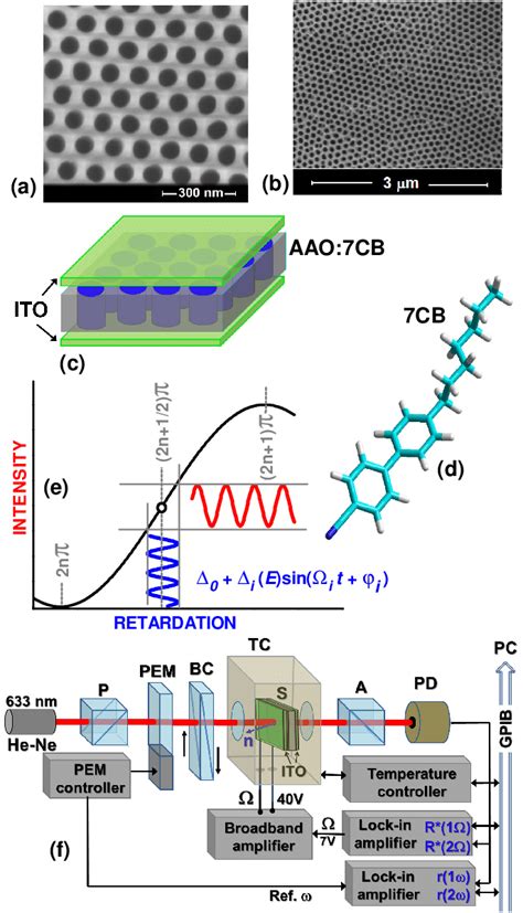 Electro Optic Experiment And Detection Scheme A B Scanning Electron Download Scientific