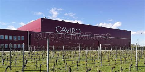Tavernello Organico Grecanico Pinot Grigio Terre Siciliane