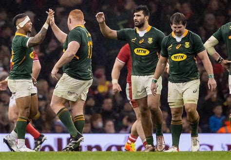Springboks Two Stars Careers Over Update