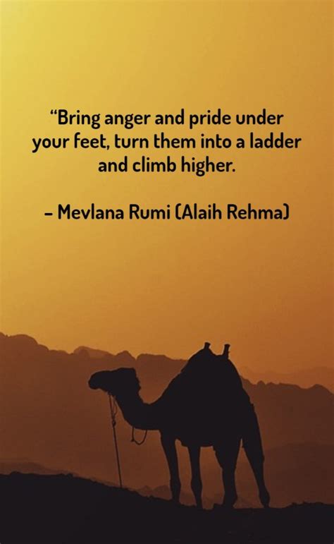 20 Sufi Quotes That Will Inspire And Enlighten Your Soul Sufism Quotes