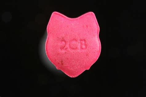 C B O Que E O Que Voc Precisa Saber Sobre A Droga