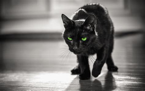 Hackthebox — Jerry Writeup By Zeuscybersec Medium