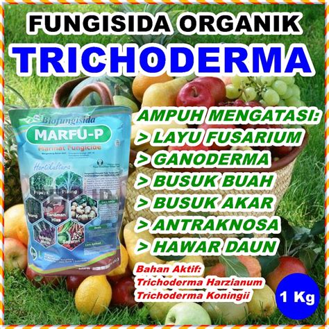 Jual Tricoderma Harzianum 1 Kg Bio Fungisida Hayati Pupuk Organik Marfu P Jamur Trichoderma