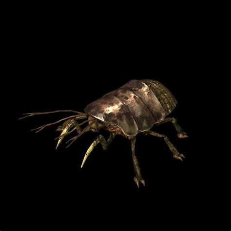 Large Cockroach The Fallout Wiki