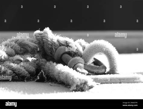 Close Up Of Icy Rope On Roof Of Canal Boat Oxford Canal Black And White