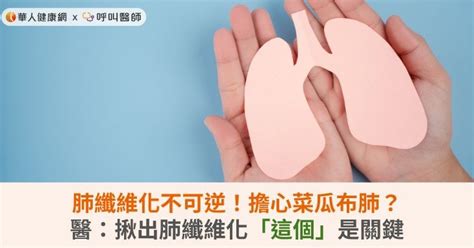 肺纖維化不可逆！擔心菜瓜布肺？醫：揪出肺纖維化「這個」是關鍵 華人健康網 專業即時優質的健康新聞及資訊分享平台業即時優質的健康新聞及