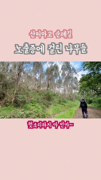 노출증에 걸린 나무들 Youtube