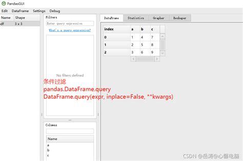【pandasgui】pandas 界面化分析工具 csdn博客
