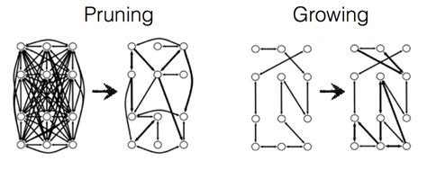algorithms and life heidelberg laureate forum scilogs