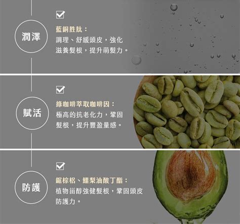 Moonlight 莯光 進化版 豐盈生機毛囊精華液 70ml Em Empire 空中護理站