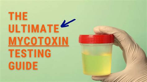 The Best Mycotoxin Test Ultimate Mycotoxin Testing Guide Fwdfuel