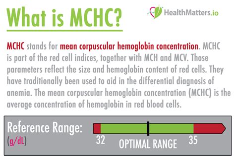 What The Heck Is Mchc