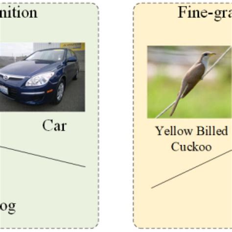 General Image Recognition Vs Fine Grained Image Recognition Download