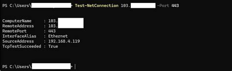 Port Scanning Menggunakan Netcat Dan Nettcpip Cbtp Knowledgebase