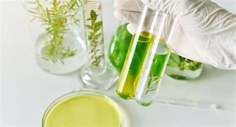Métodos De Extracción Y Purificación De Flavonoides COSMETIC LATAM