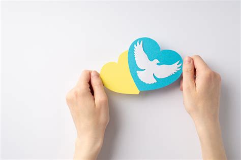 우크라이나 개념에서 전쟁을 중지하십시오 흰색 배경에 흰 비둘기가있는 노란색과 파란색 하트를 들고있는 여성의 손이 맨 위 머리 위