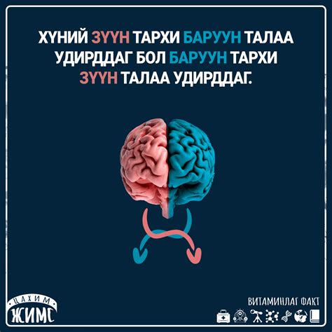 Цахим жимс Зүүн тархи логик шинжлэх ухааны болон