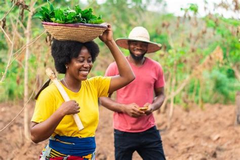 Grant Opportunities Bim Africa Innovation Awards 2023 Sur Le Cameroun