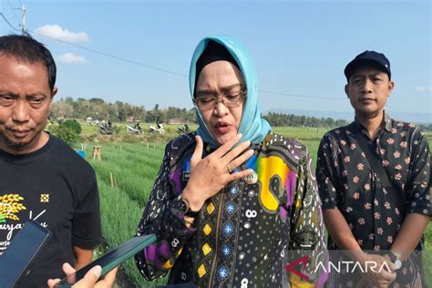 Pemkab Kulon Progo DIY Ajukan PK Atas PBB P2 Angkasa Pura Rp28 Miliar