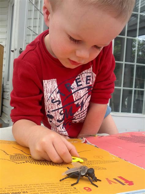 Bugs By The Numbers Sensory Bin And Next Comes L Hyperlexia Resources