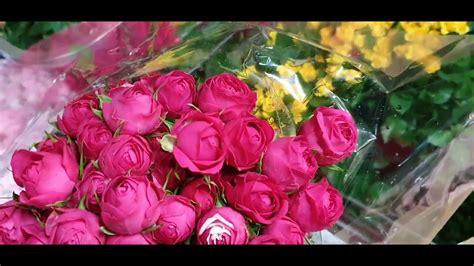 미니장미 진핑크 생화 꽃집 꽃집창업 꽃값 온라인꽃시장 온라인꽃도매 인터넷꽃시장 인터넷꽃도매 서울꽃시장 꽃농장 꽃배송 생화배송