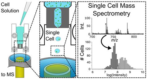 Mass Spectrometry And Laser Spectroscopy Research Projects Ornl
