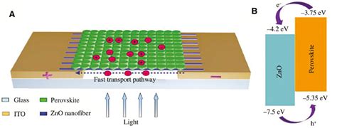 Schematic And Band Energy Of Zno Nanofiber A Schematic Of Zno Download Scientific Diagram