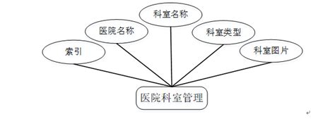 计算机毕业设计php医院门诊管理信息系统（源码程序vuelw部署）用pyqt设计医院登录系统 Csdn博客