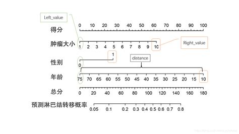 Python代码反向解析列线图nomogram自动计算各项得分及总得分列线图如何计算具体数值 Csdn博客