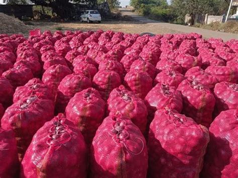 A Grade Maharashtra Onion Packaging Size Kg Onion Size Available Medium At Rs Kg In