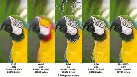 Webp Jpeg Techbriefly Cn