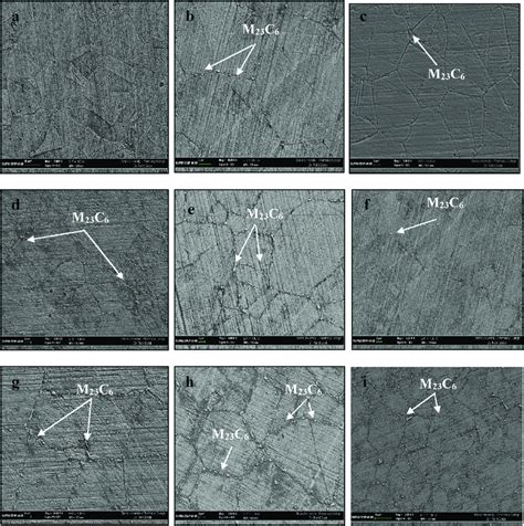 FE SEM Micrographs Of AISI204 Stainless Steel A As Received Aged At